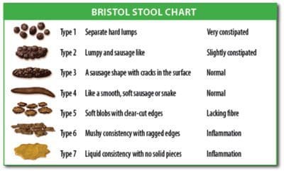Bristol Stool Chart - Dr Sandra Cabot MD