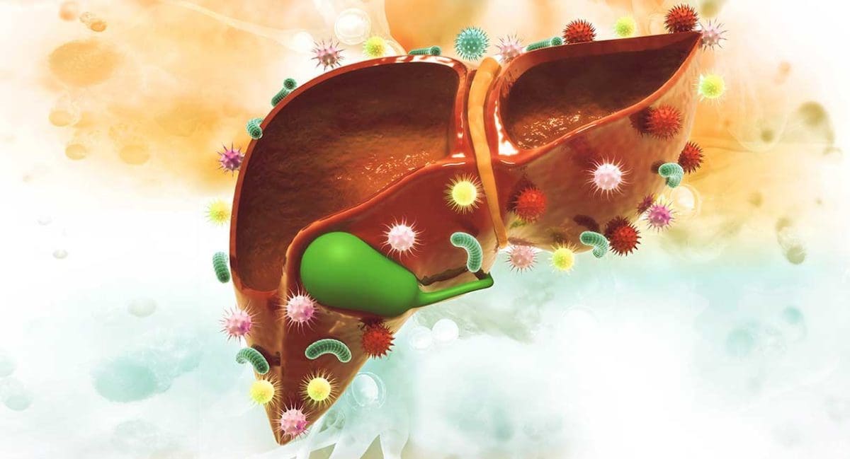 Polycystic Liver Disease (PLD) - Dr Sandra Cabot MD
