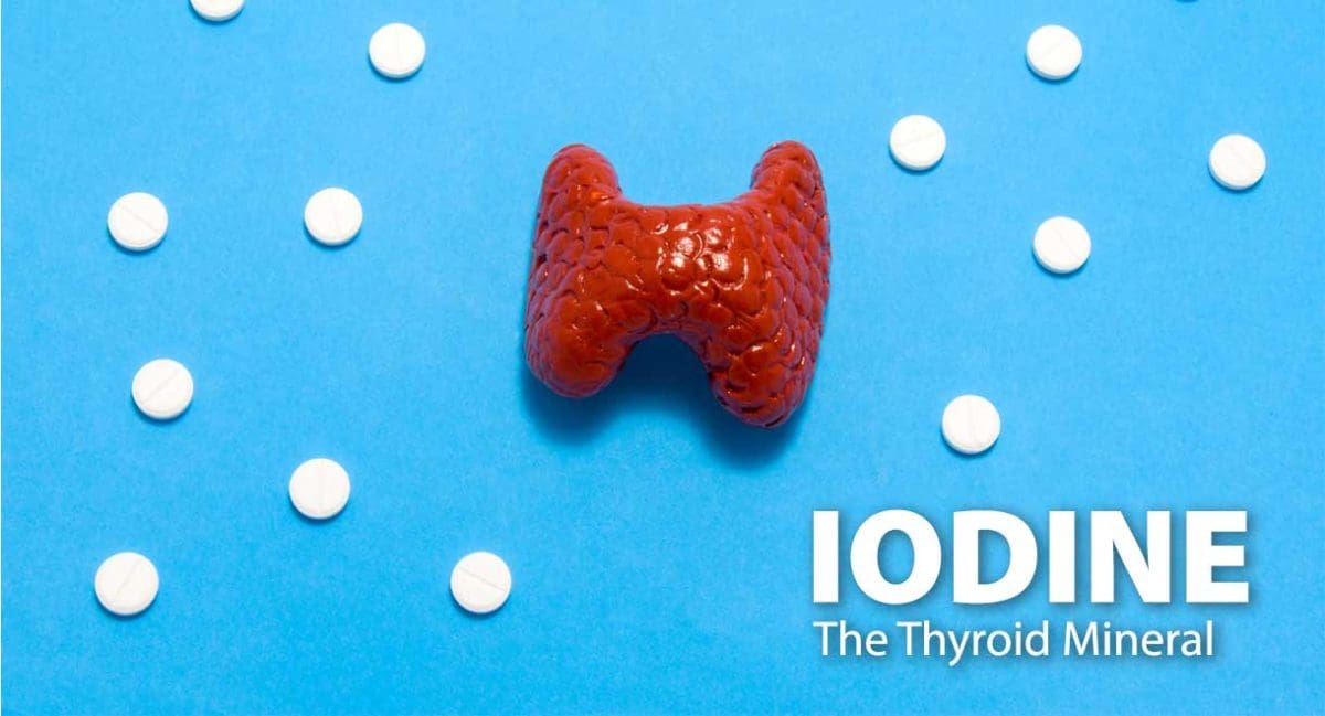 Iodine - The Thyroid Mineral - Dr Sandra Cabot MD