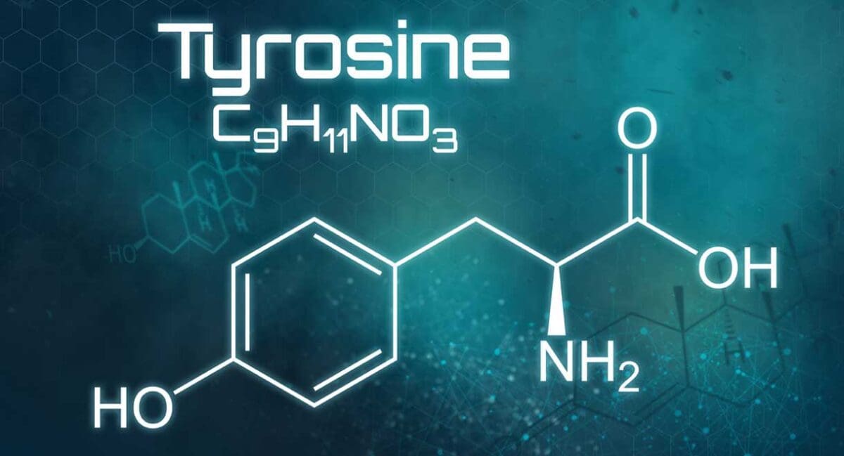 Tyrosine - A Powerful Amino Acid For Health - Dr Sandra Cabot MD